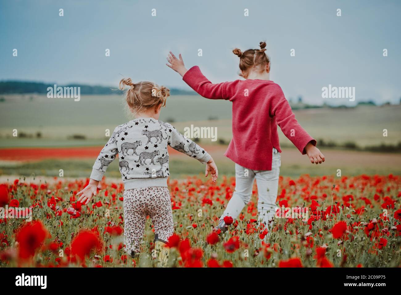 Children playing in poppy field hi-res stock photography and images - Alamy