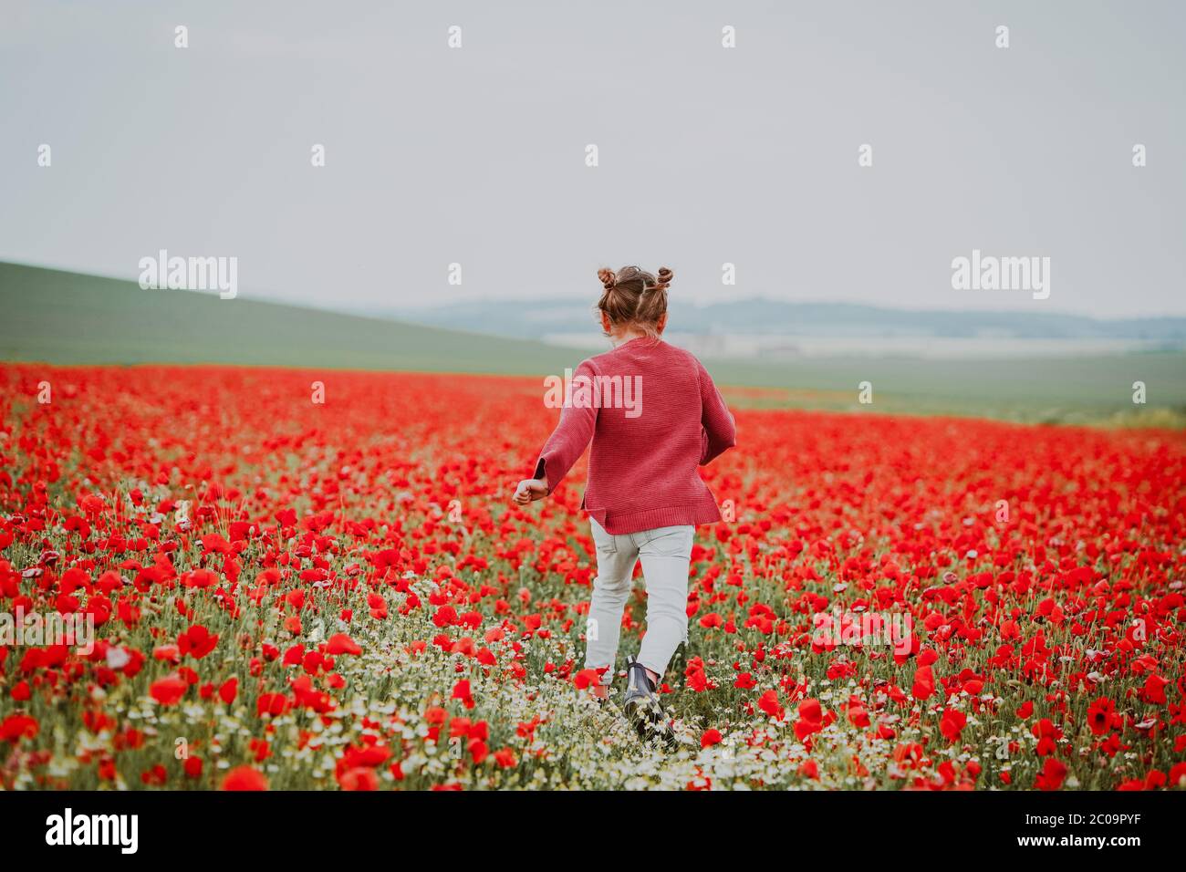 7 year old girl running through poppy field, uk Stock Photo - Alamy