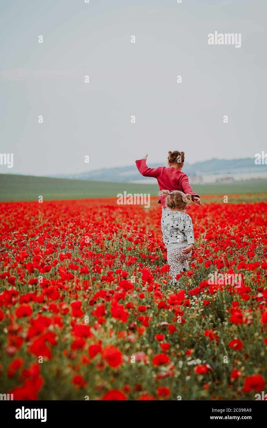 Children playing in poppy field hi-res stock photography and images - Alamy