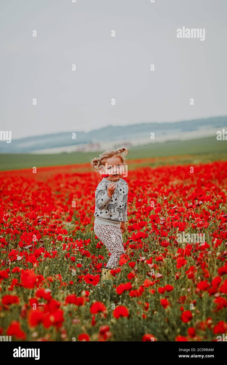 Plating fields hi-res stock photography and images - Alamy