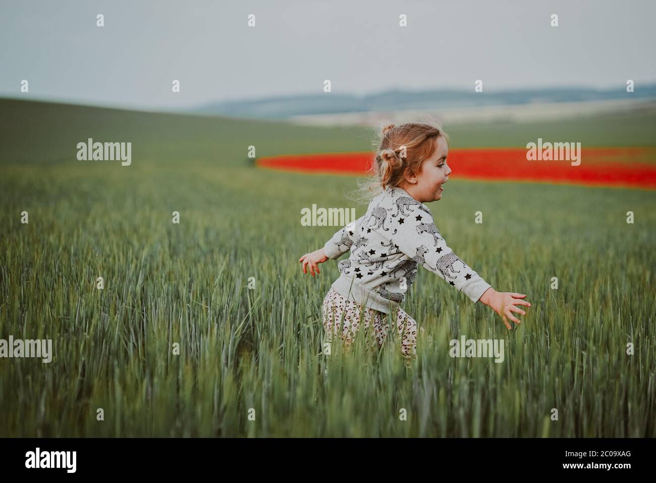 Plating fields hi-res stock photography and images - Alamy