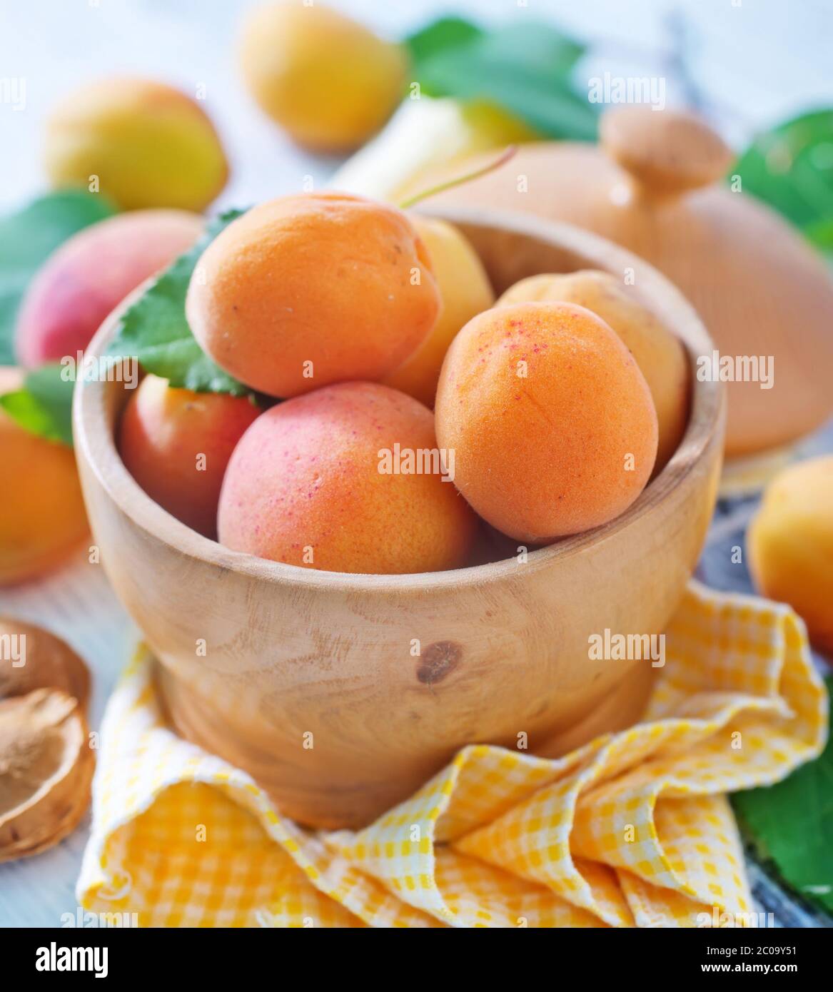Apricot plant bucket hi-res stock photography and images - Alamy