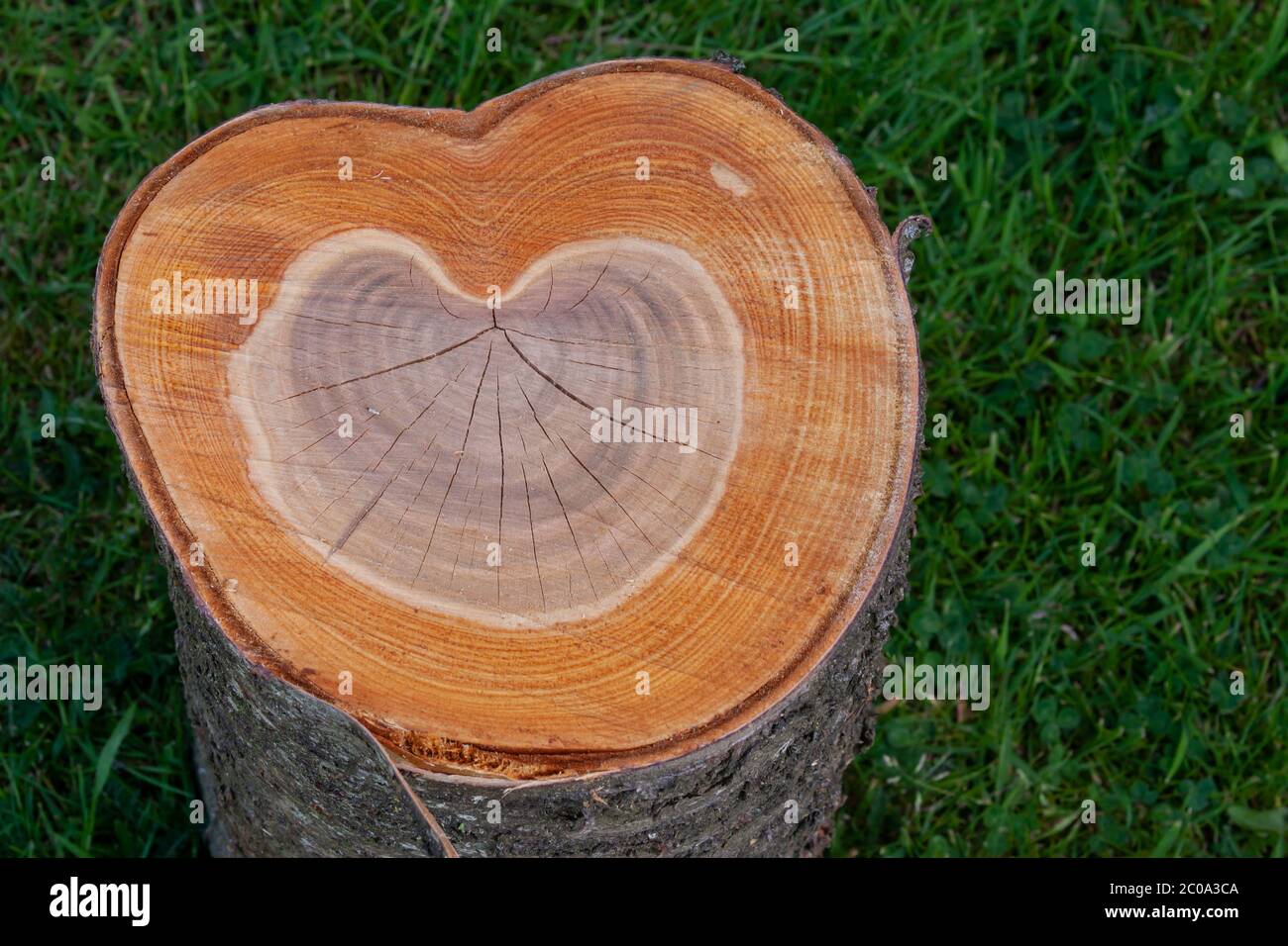 Love rings hi-res stock photography and images - Alamy