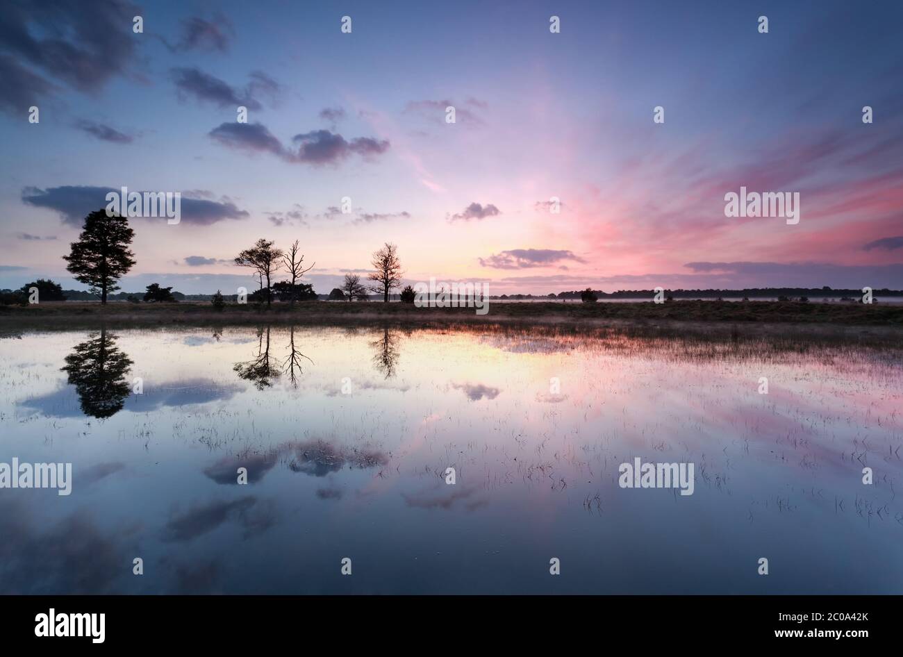 purple sunrise reflections in lake Stock Photo - Alamy