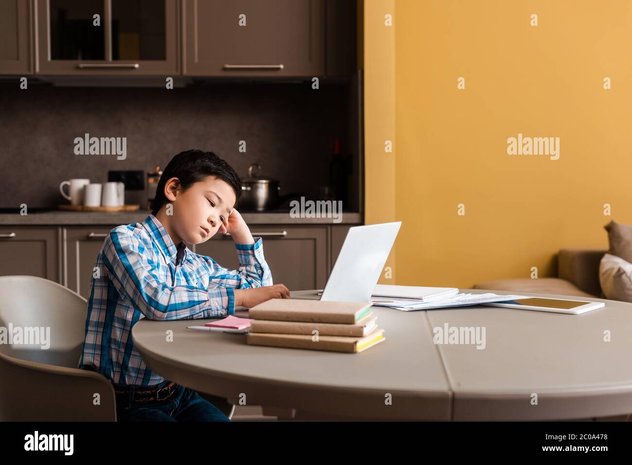 Boy studying computer books hi-res stock photography and images - Alamy