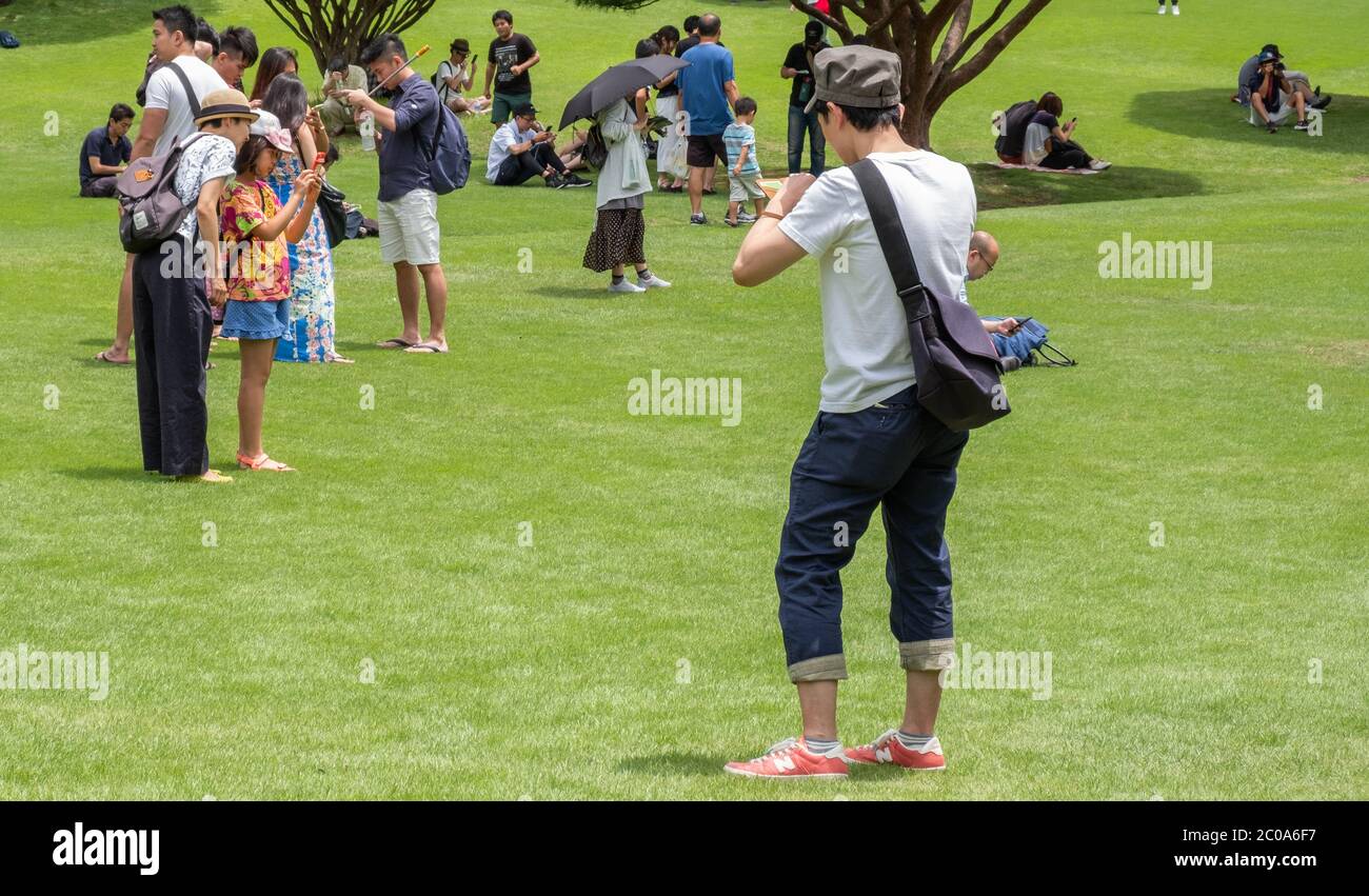 Crowd of people at Shinjuku Gyoen Garden during summer, Tokyo, Japan ...