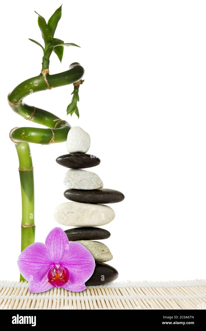 Purple bamboo hi-res stock photography and images - Alamy