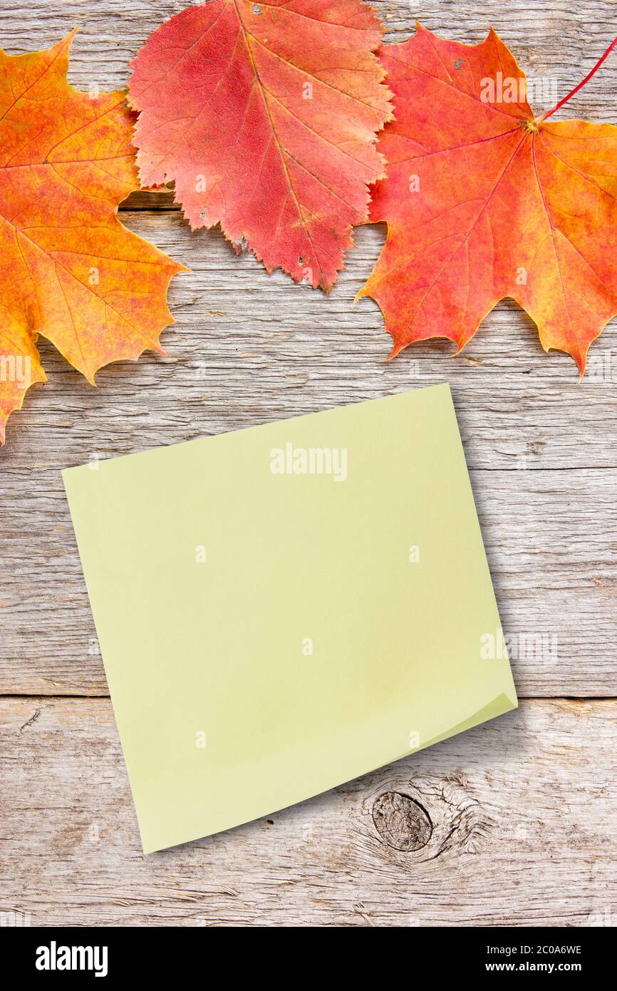 Sticky note on the board with autumnal leaves Stock Photo - Alamy