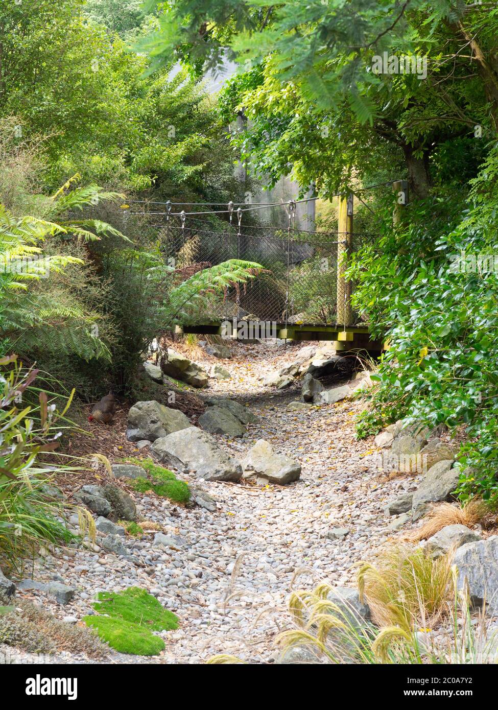 Rocky stream bed hi-res stock photography and images - Alamy