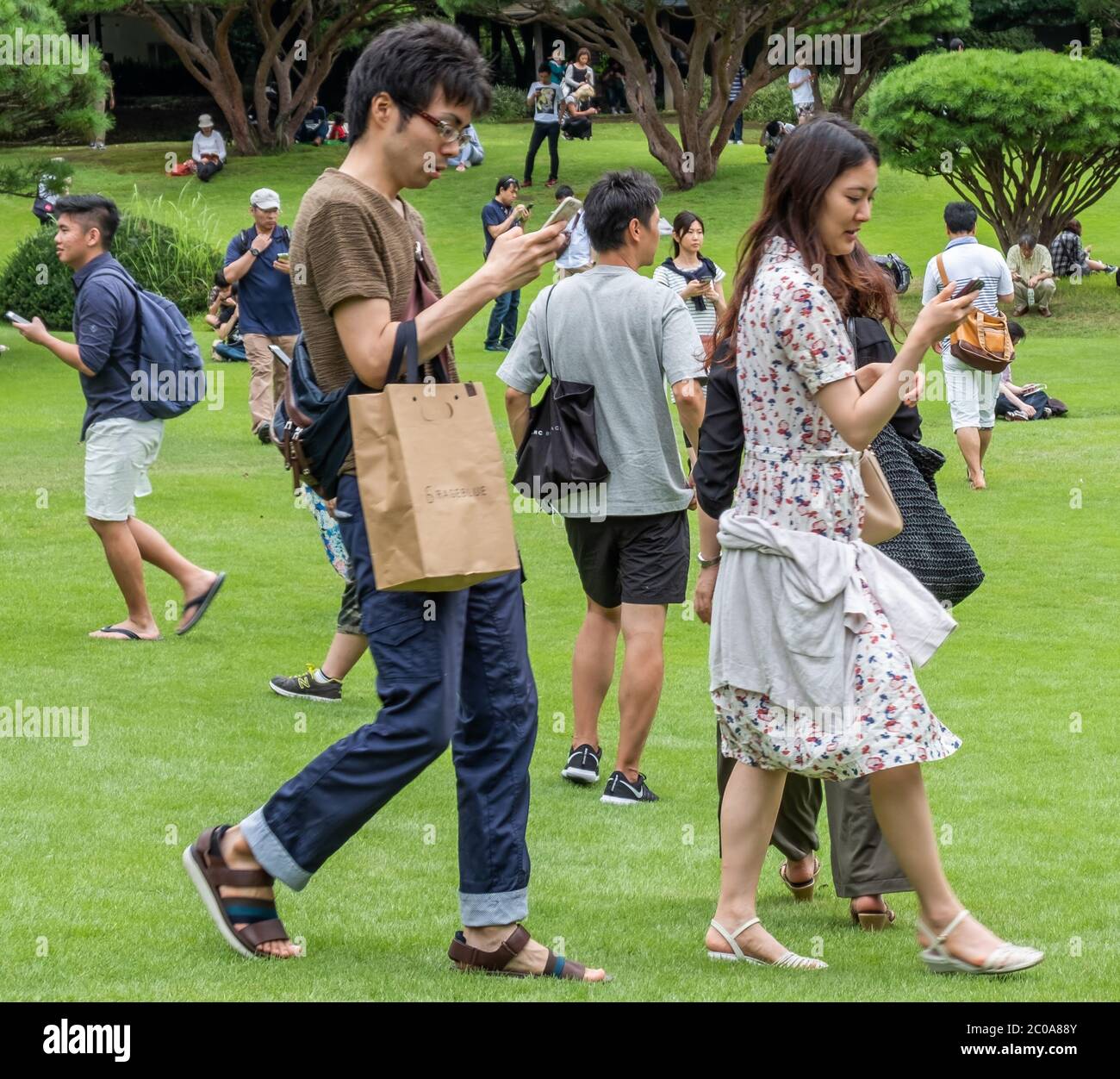 Group of people with smartphone at Shinjuku Gyoen Garden during summer ...