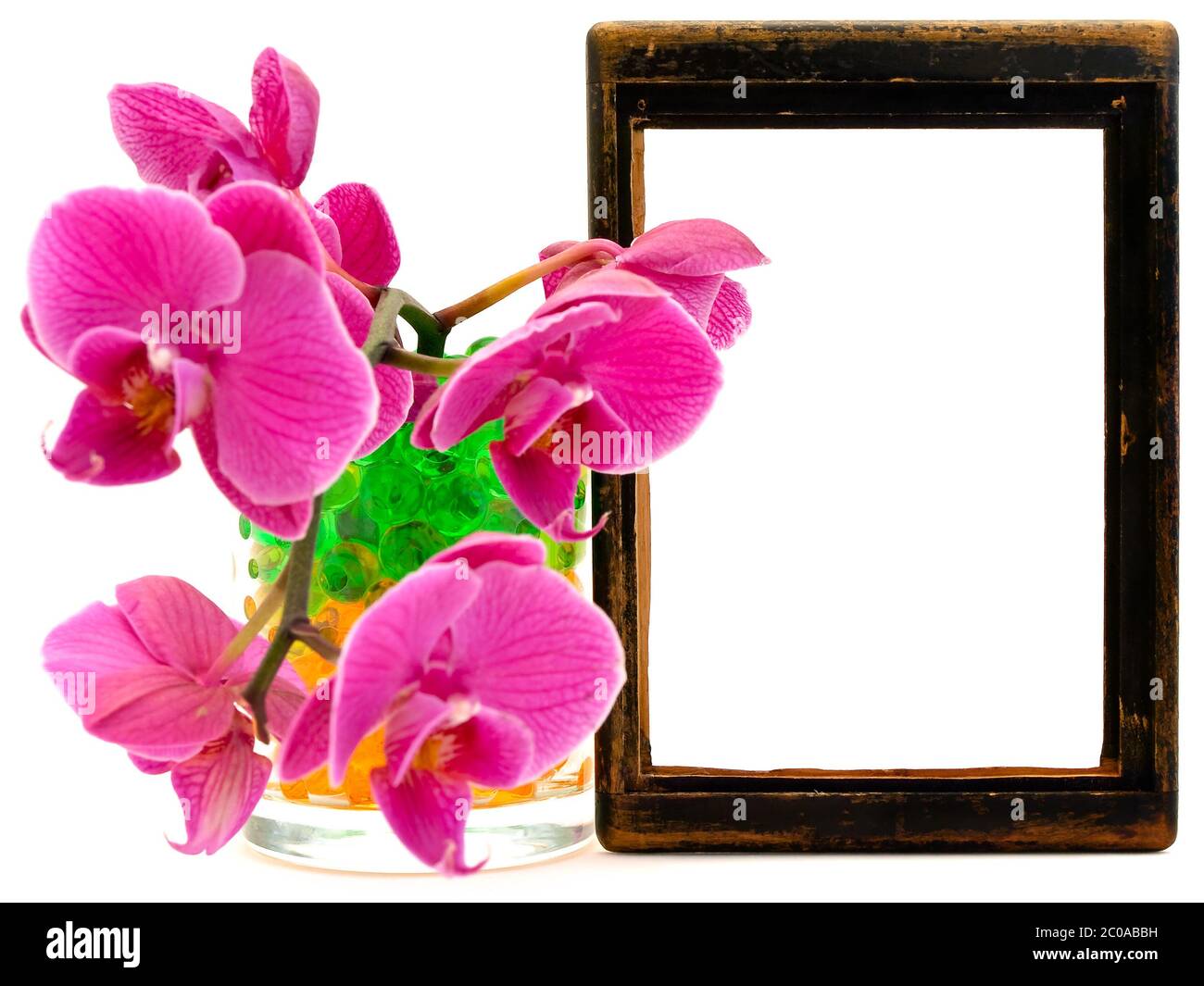 Orchid environment hi-res stock photography and images - Alamy