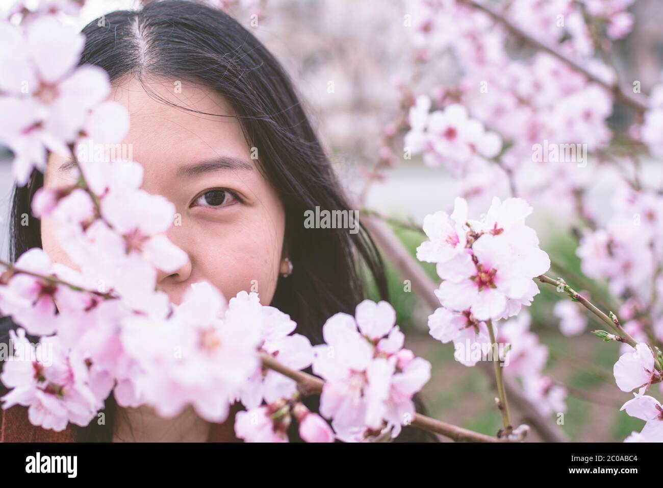 Portrait Of An Asian Woman's Face Partially Hidden By Cherry Blossoms ...
