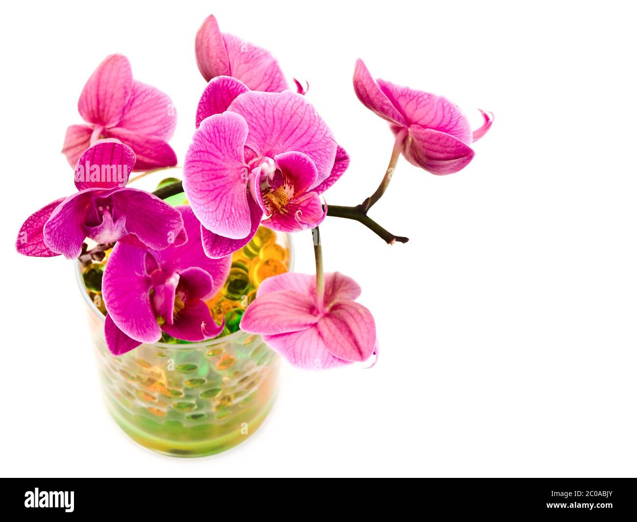 Fower hi-res stock photography and images - Alamy