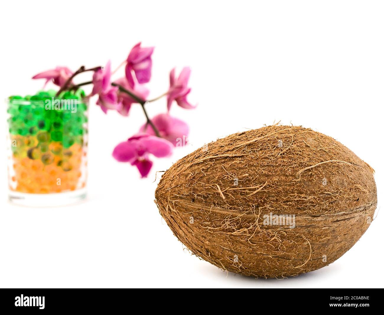 Bloom coconut hi-res stock photography and images - Alamy