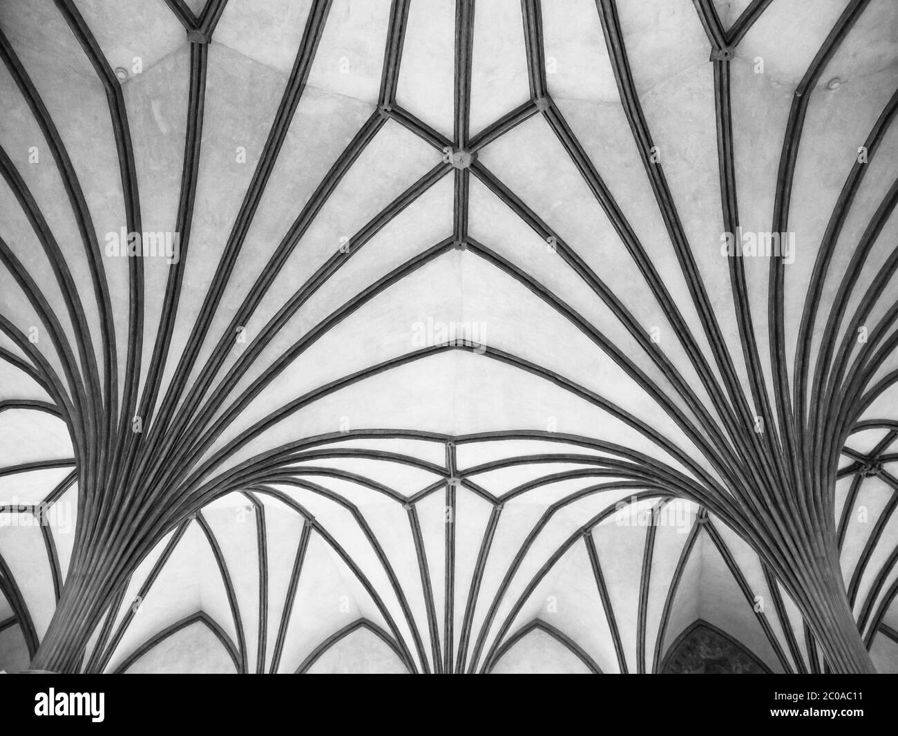 Gothic rib vault ceiling, architectural feature detail. Black and white ...