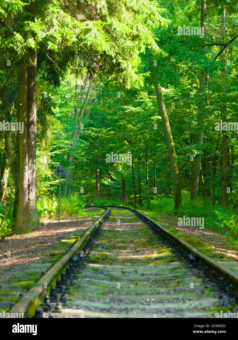 Forest railway hi-res stock photography and images - Alamy
