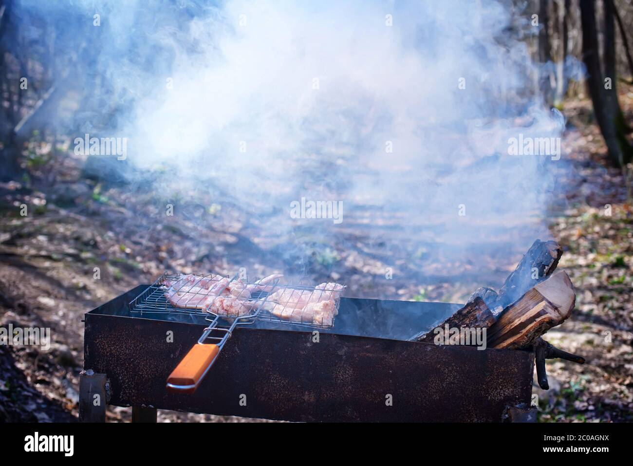 barbecue in the forest Stock Photo - Alamy