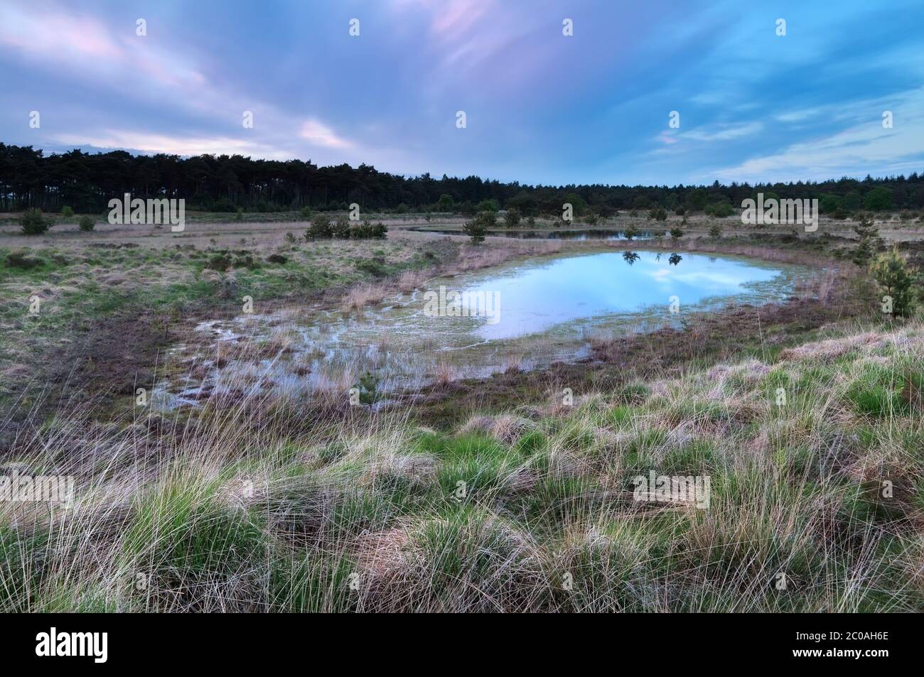 Little meadows hi-res stock photography and images - Alamy