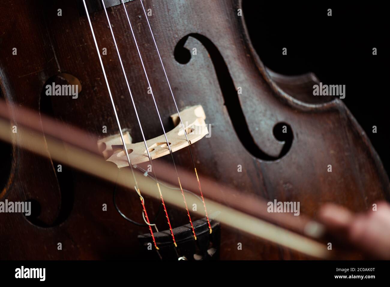 Close up playing double bass hi-res stock photography and images - Alamy