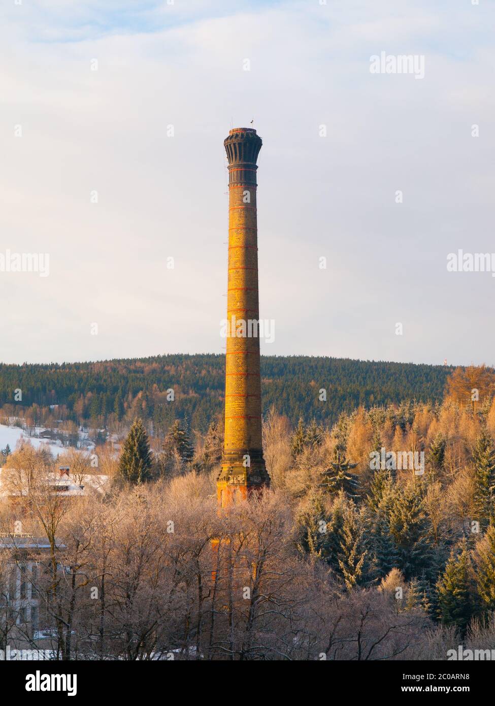 Industrial forest hi-res stock photography and images - Alamy