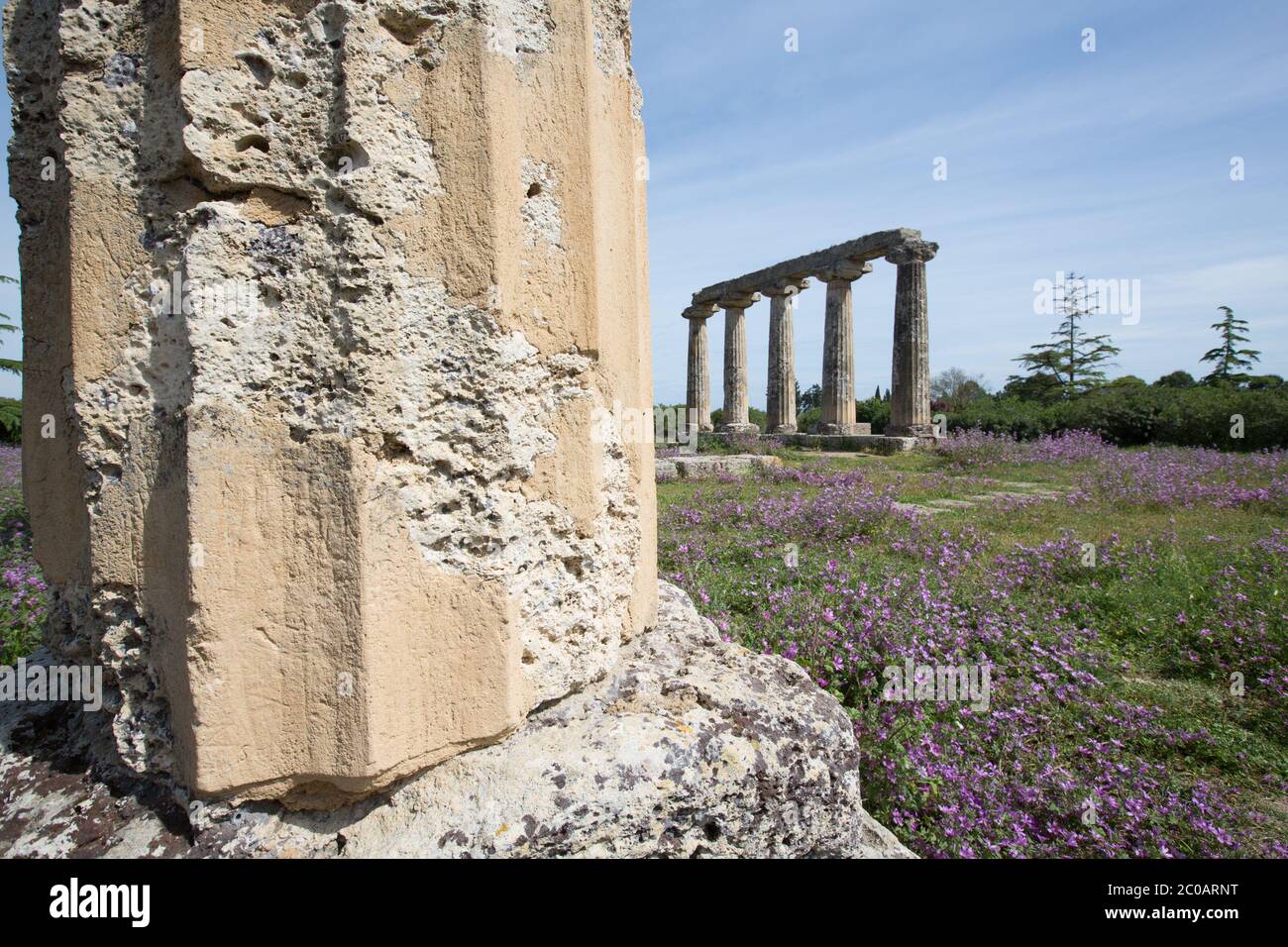 Palatine tables metaponto hi-res stock photography and images - Alamy