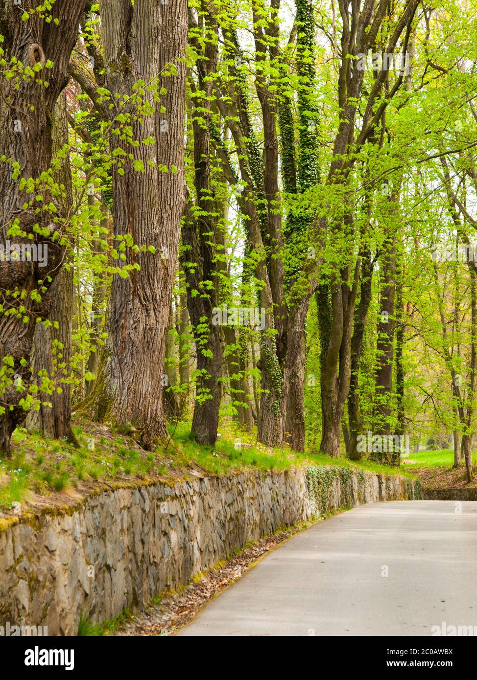 Park road with walls and trees around, spring season Stock Photo - Alamy