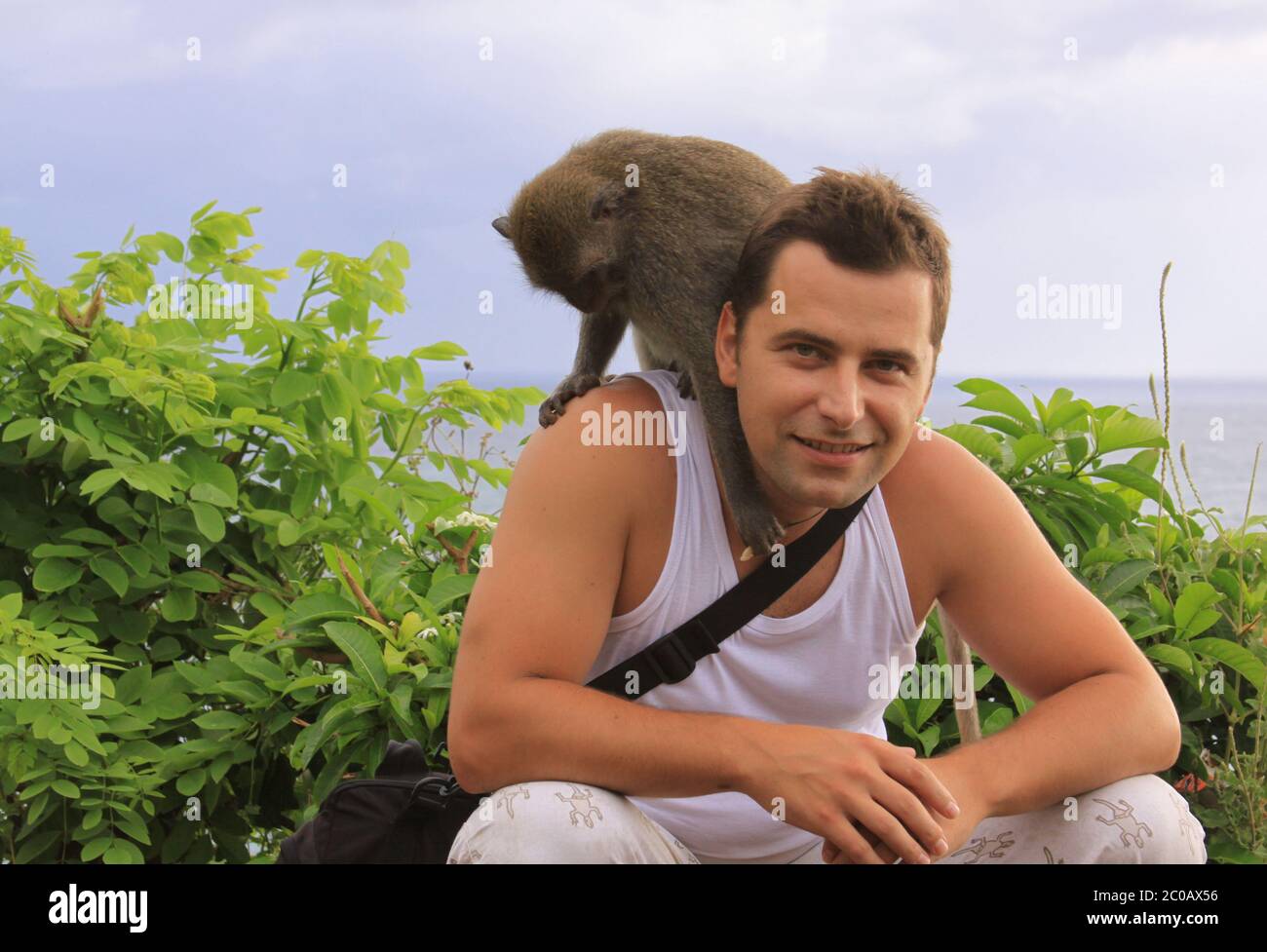 Macaque monkey stealing jewelry from tourist at Uluwatu temple, Bali ...