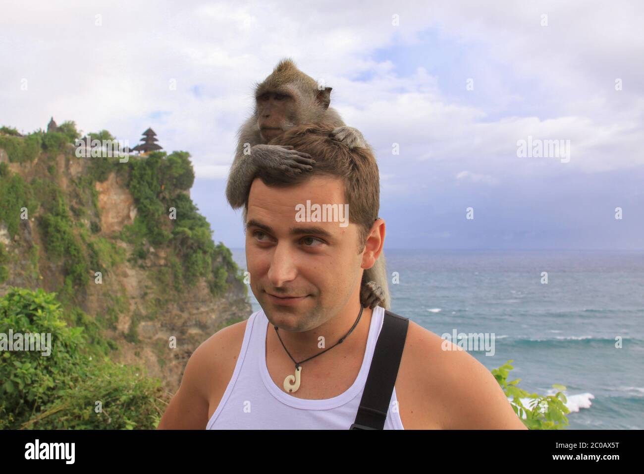 Tourist interacts with macaque monkey on head, at Uluwatu temple, Bali ...