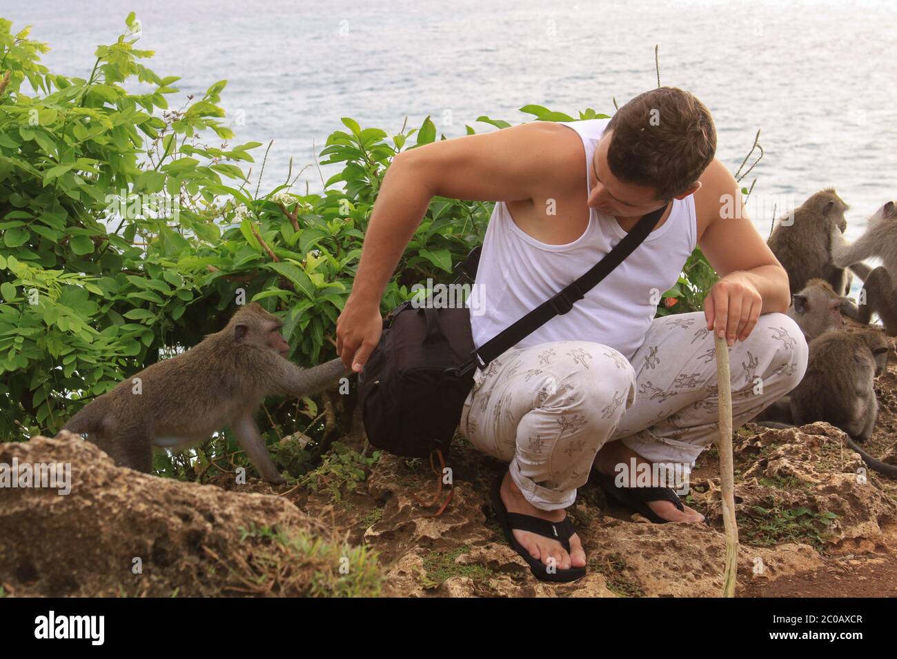 Monkey stealing hi-res stock photography and images - Alamy