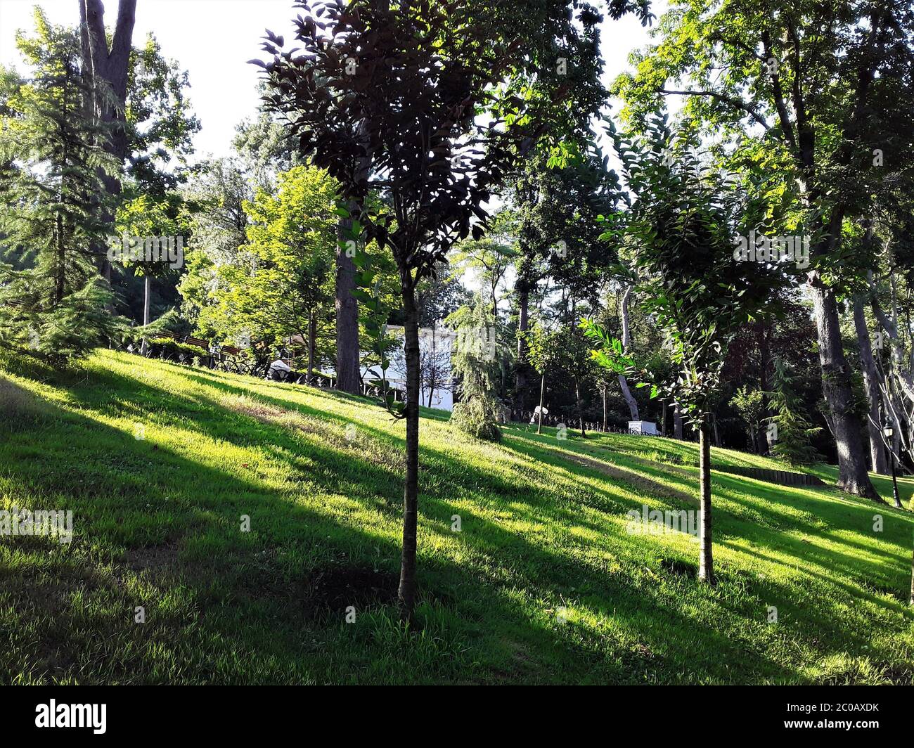 A view from Emirgan Grove Park in summer season Stock Photo - Alamy