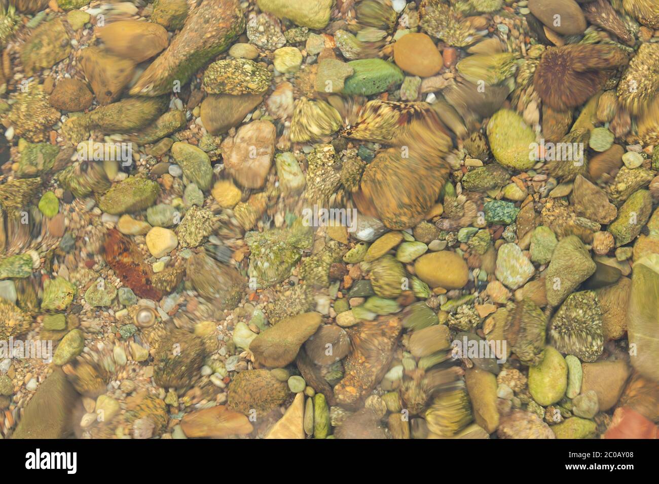 stone under the sea water, note shallow depth of field Stock Photo - Alamy