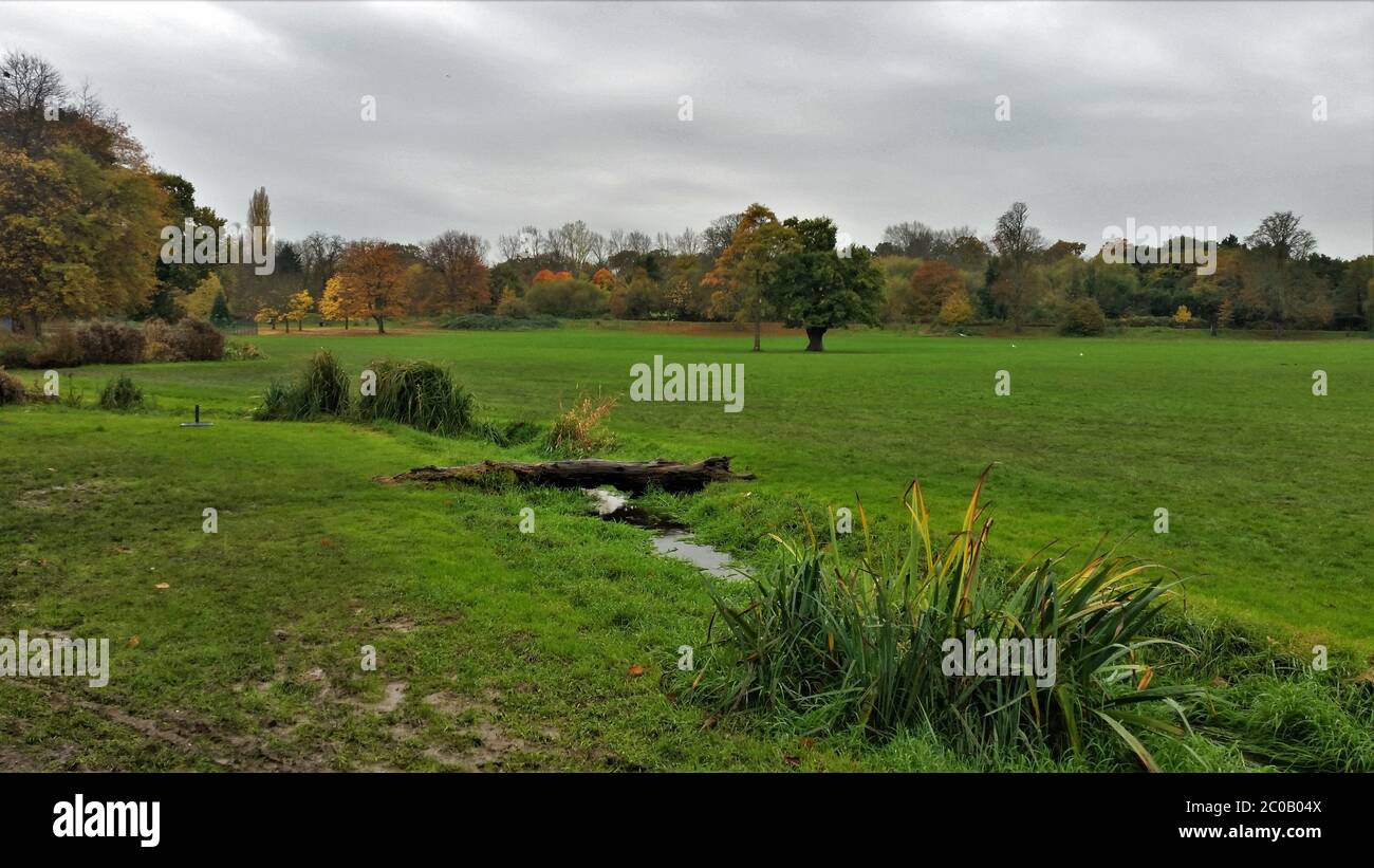 Trent park hi-res stock photography and images - Alamy