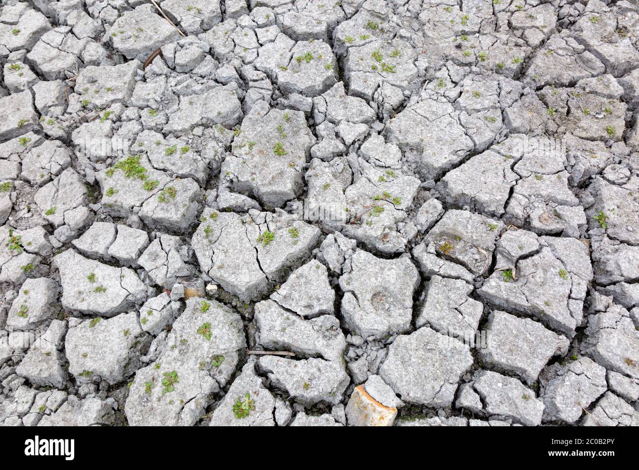 Dry reservoir bed in warm weather, UK 2020 Stock Photo - Alamy