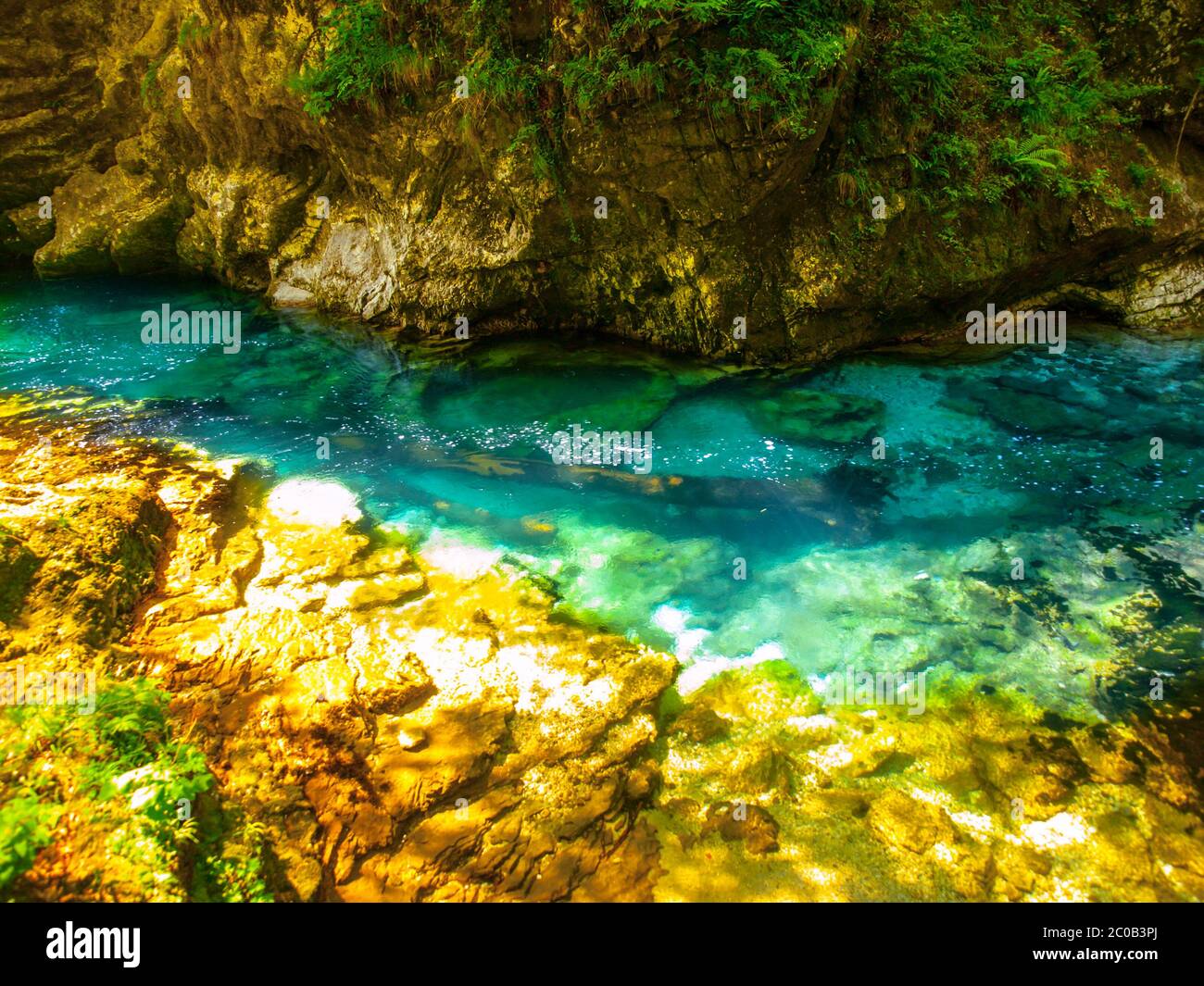 Pure blue water of Radovna river in Vintgar Gorge. Natural waterfalls ...