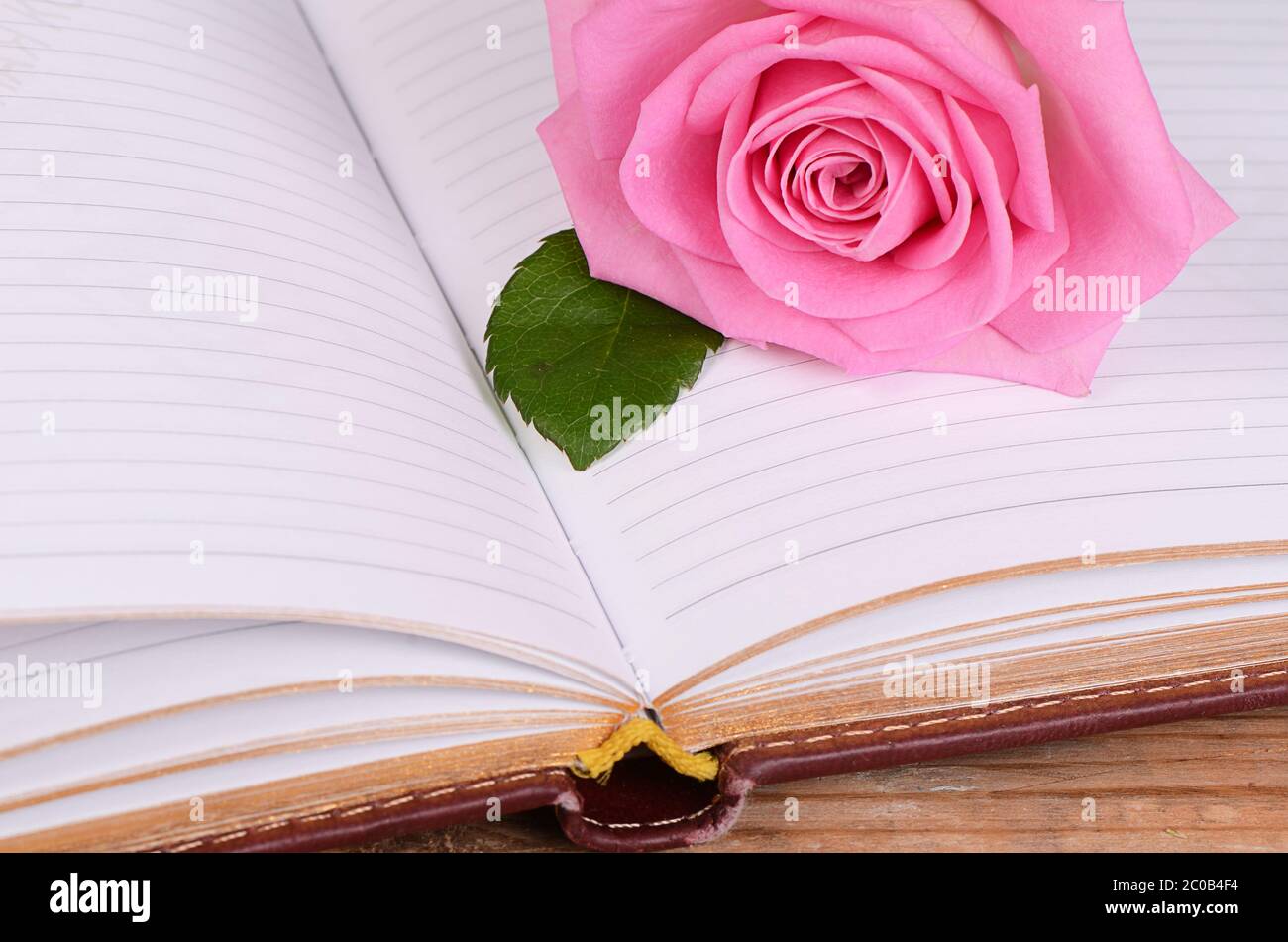 The rose on the book Stock Photo - Alamy