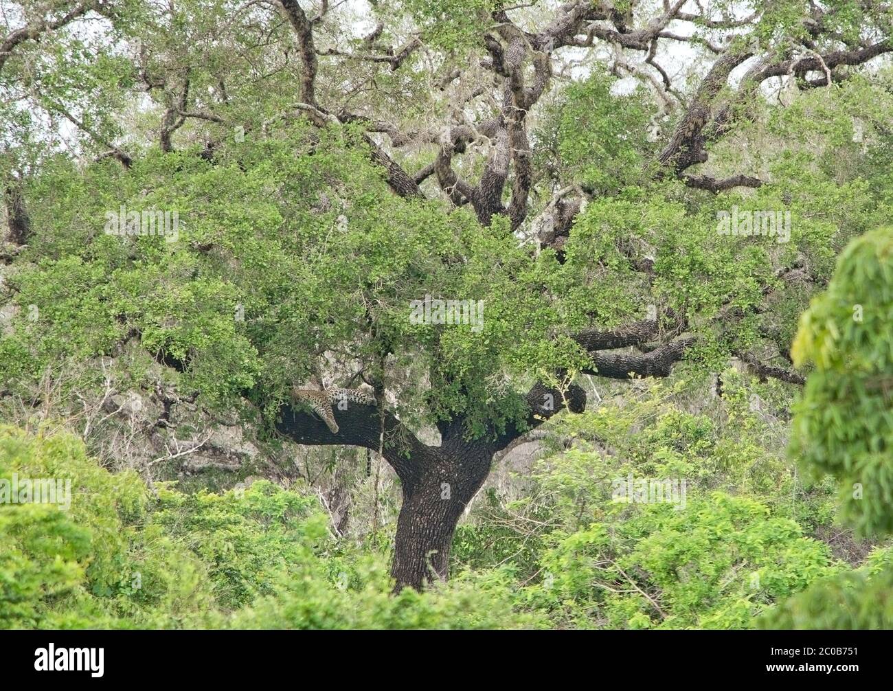 Hideout hi-res stock photography and images - Alamy