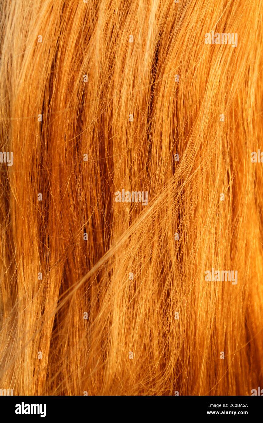 Blonde hair. Blond hair texture - closeup photo Stock Photo - Alamy