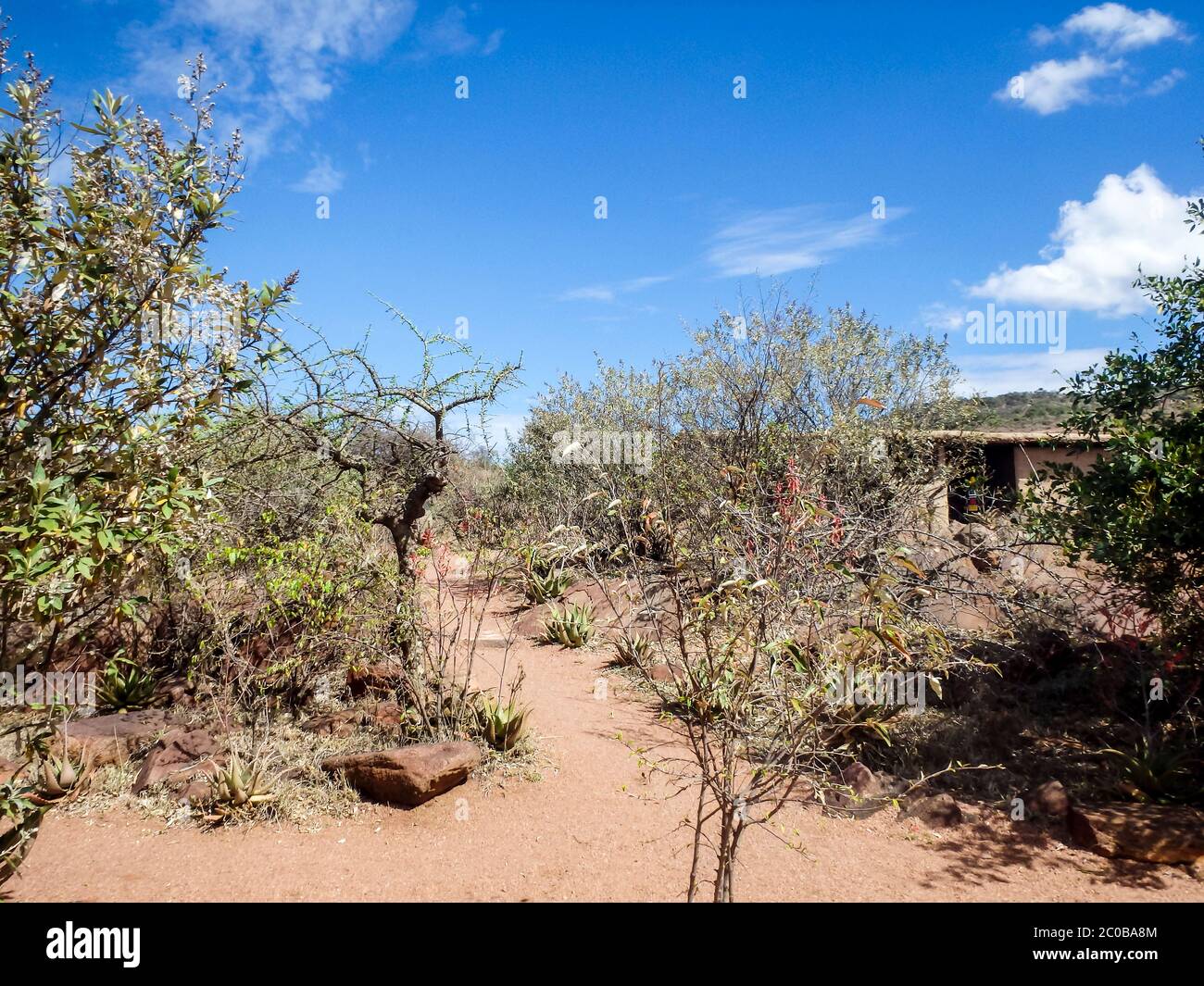 Maji Moto Eco Camp and Maasai Stock Photo - Alamy