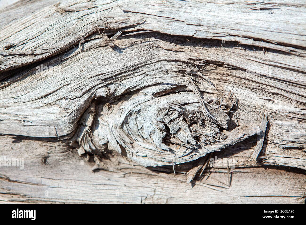 rough wooden surface with wood chips Stock Photo - Alamy
