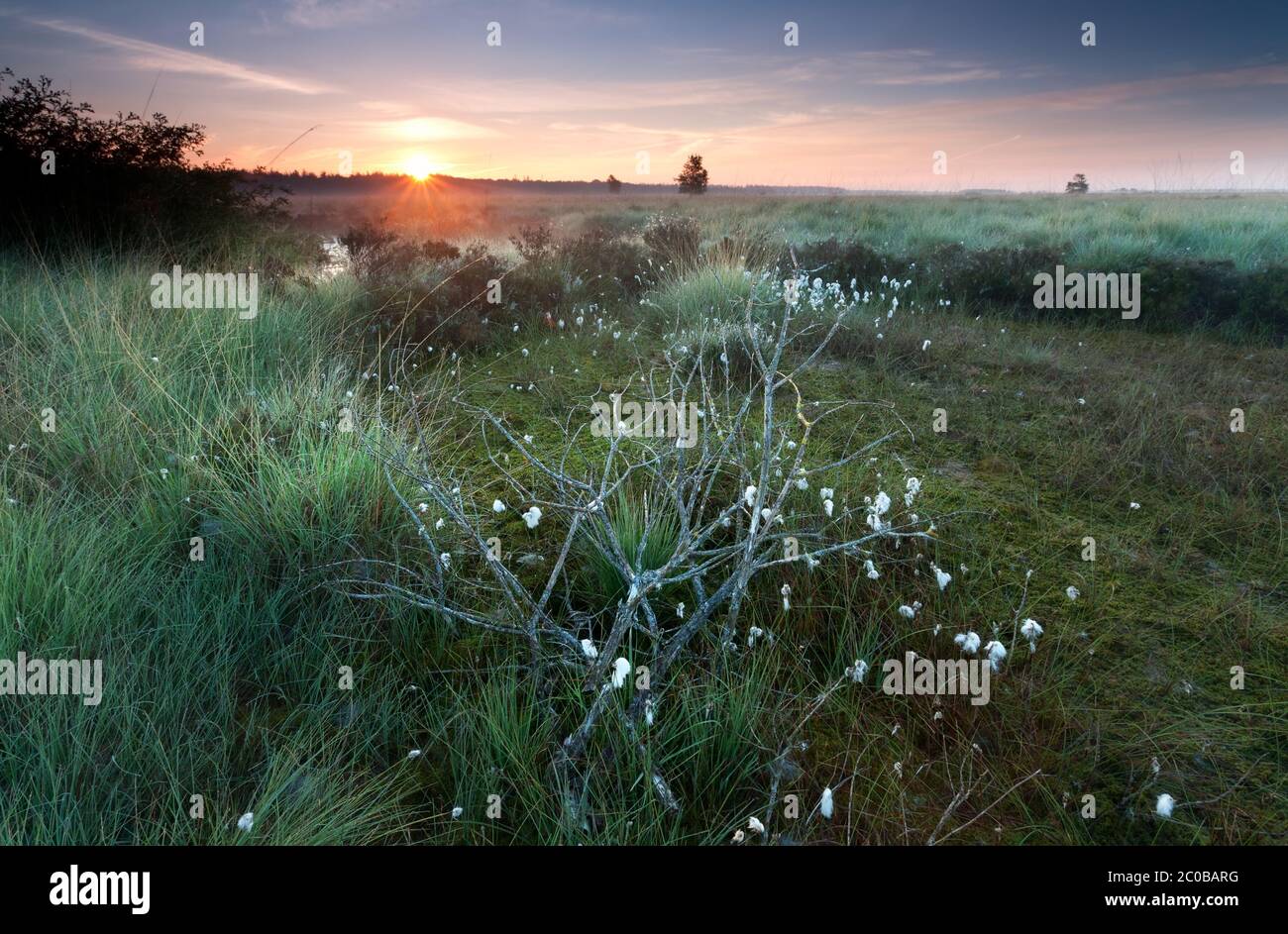 Beautiful summer sunrise hi-res stock photography and images - Alamy