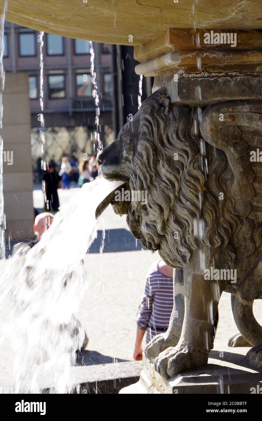 Lion Fountain at Cologne Cathedral Stock Photo - Alamy