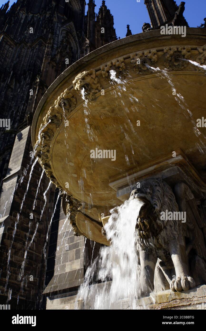 Lion Fountain at Cologne Cathedral Stock Photo - Alamy