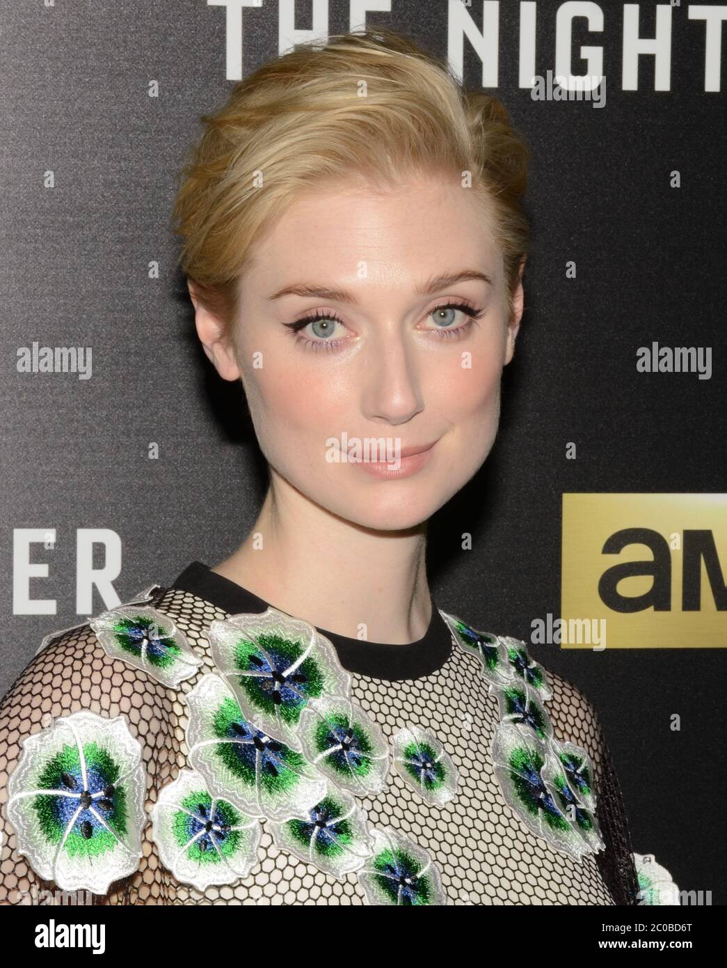 April 5, 2016, Hollywood, California, USA: Elizabeth Debicki attends ...