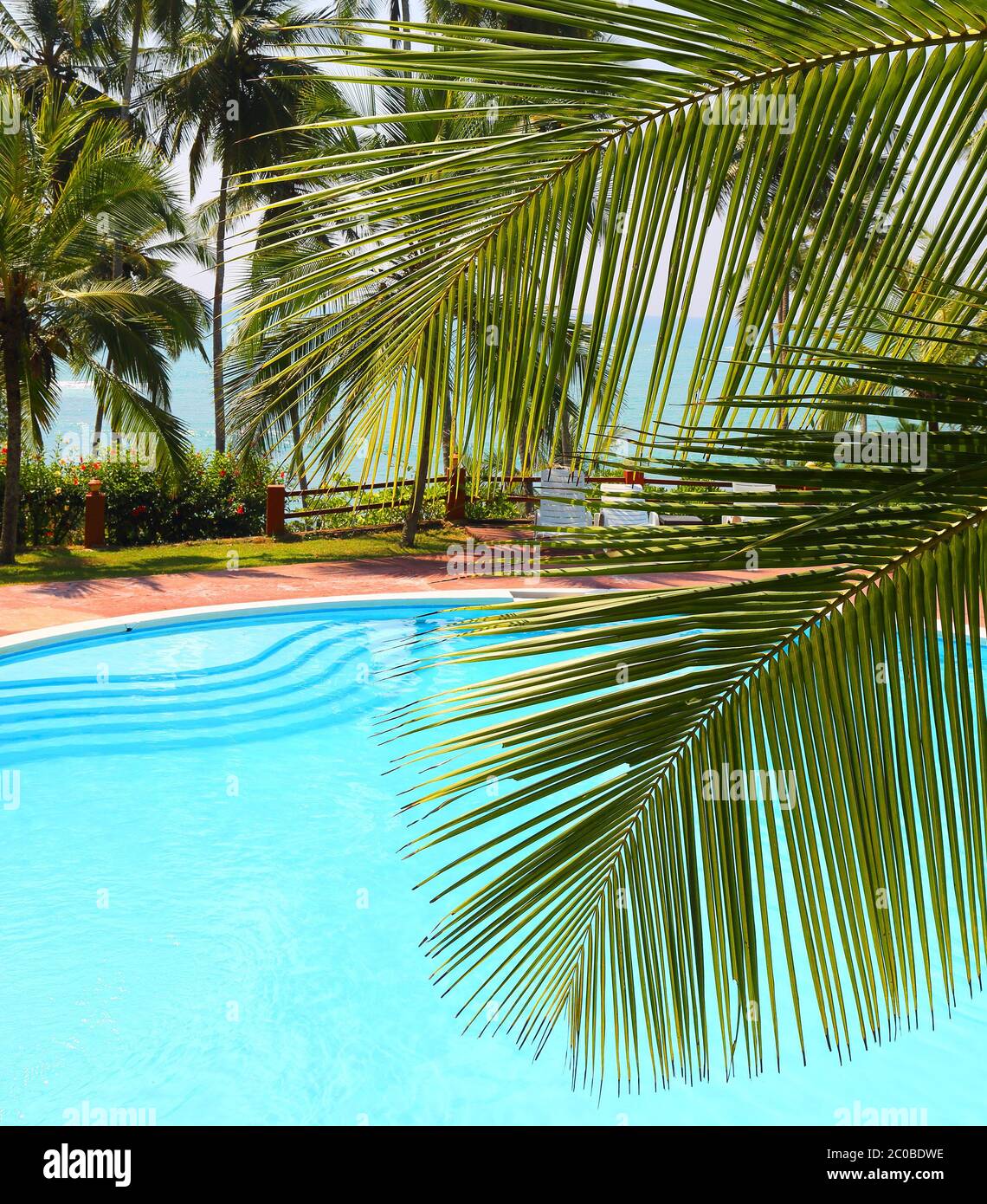 Swimming leaf hi-res stock photography and images - Alamy