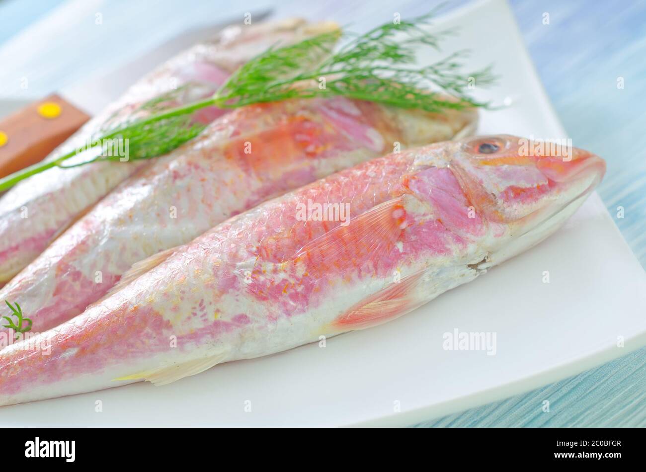 Freshwater mullet hi-res stock photography and images - Alamy