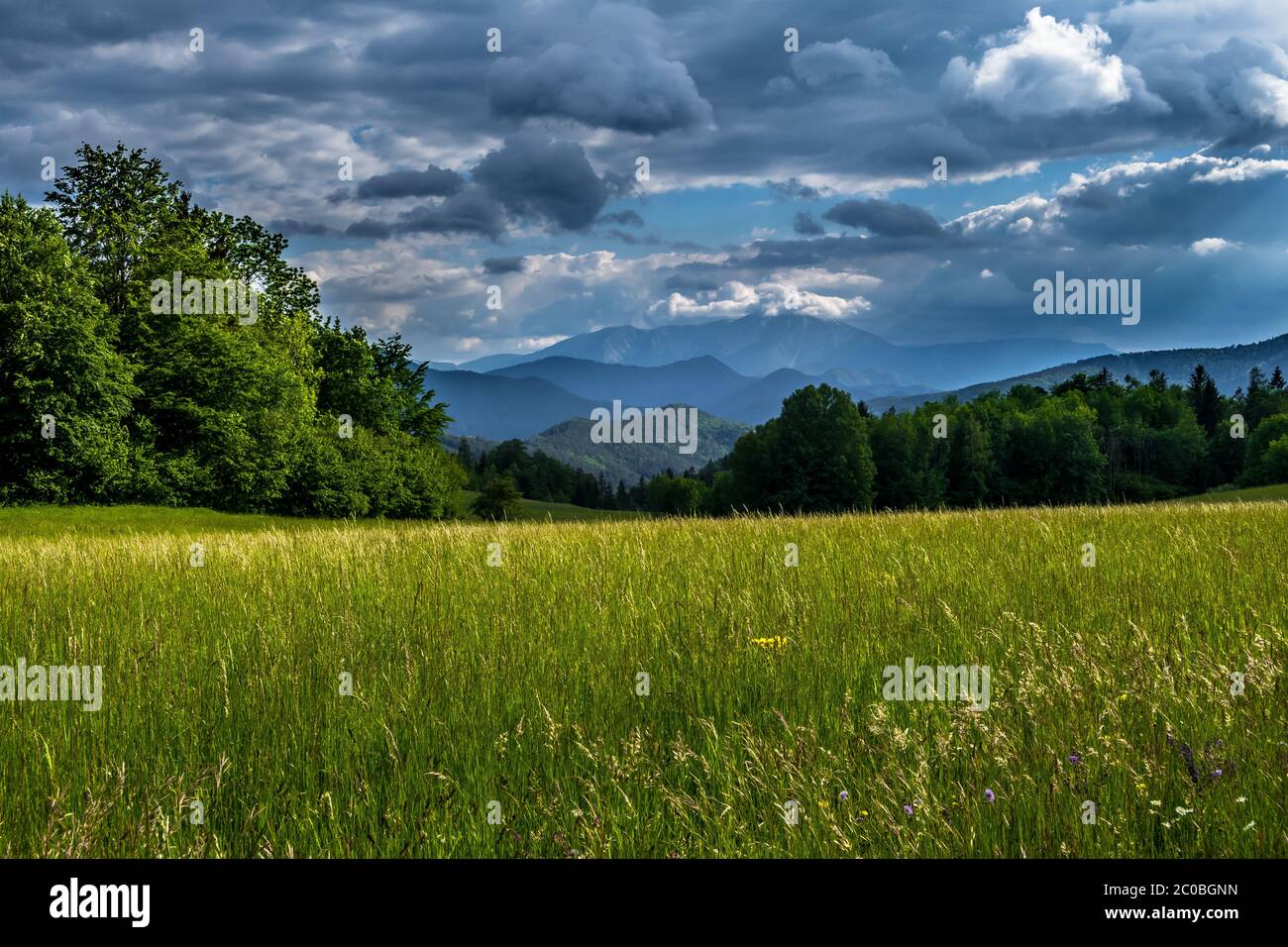 Mountains Of Alps And Rural Landscape In Austria Stock Photo - Alamy
