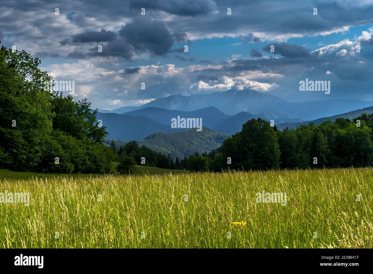 Mountains Of Alps And Rural Landscape In Austria Stock Photo - Alamy