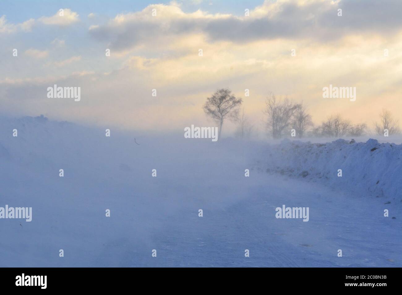Winter landscape in strong wind Stock Photo - Alamy