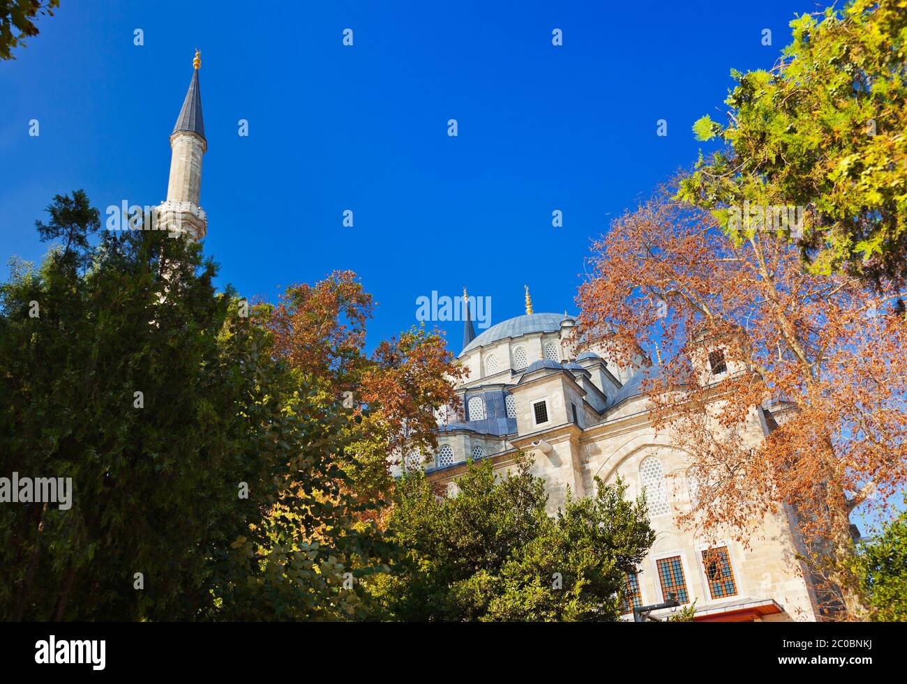 Fatih mosque in Istanbul Turkey Stock Photo - Alamy
