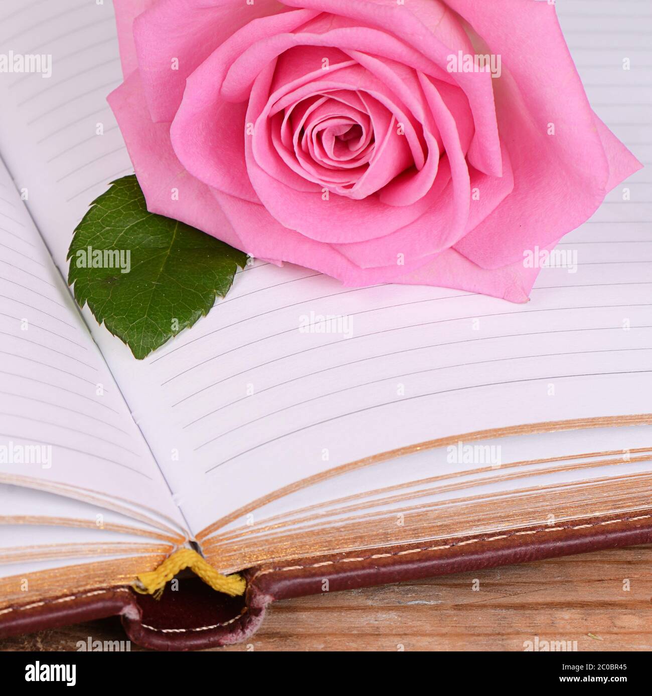 Book paper rose hi-res stock photography and images - Alamy